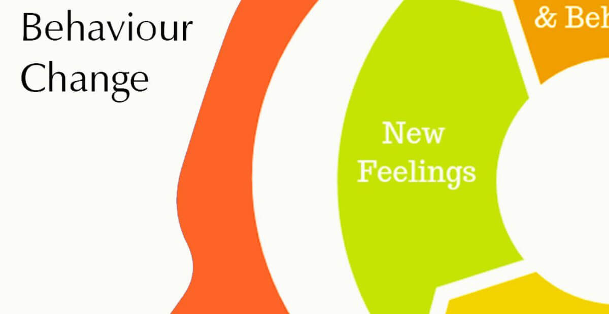 Behavior Change in the Workplace - C Management