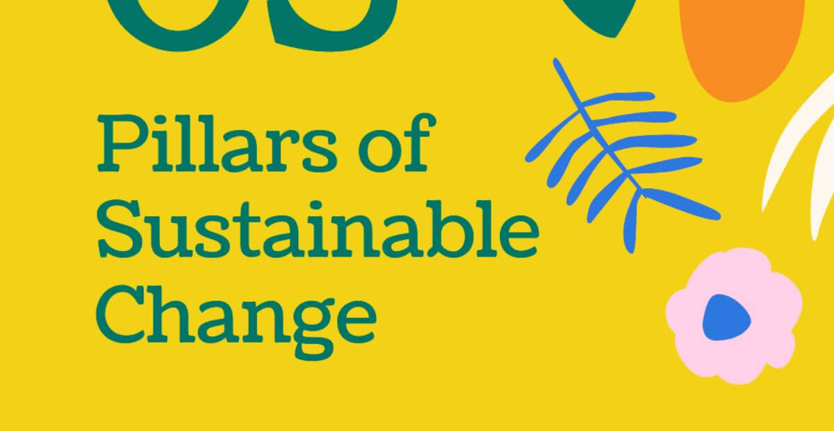 Sustainable Organizational Change - C Management